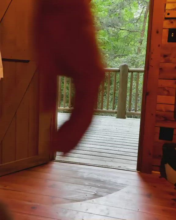 Elly Visual | Scrolller