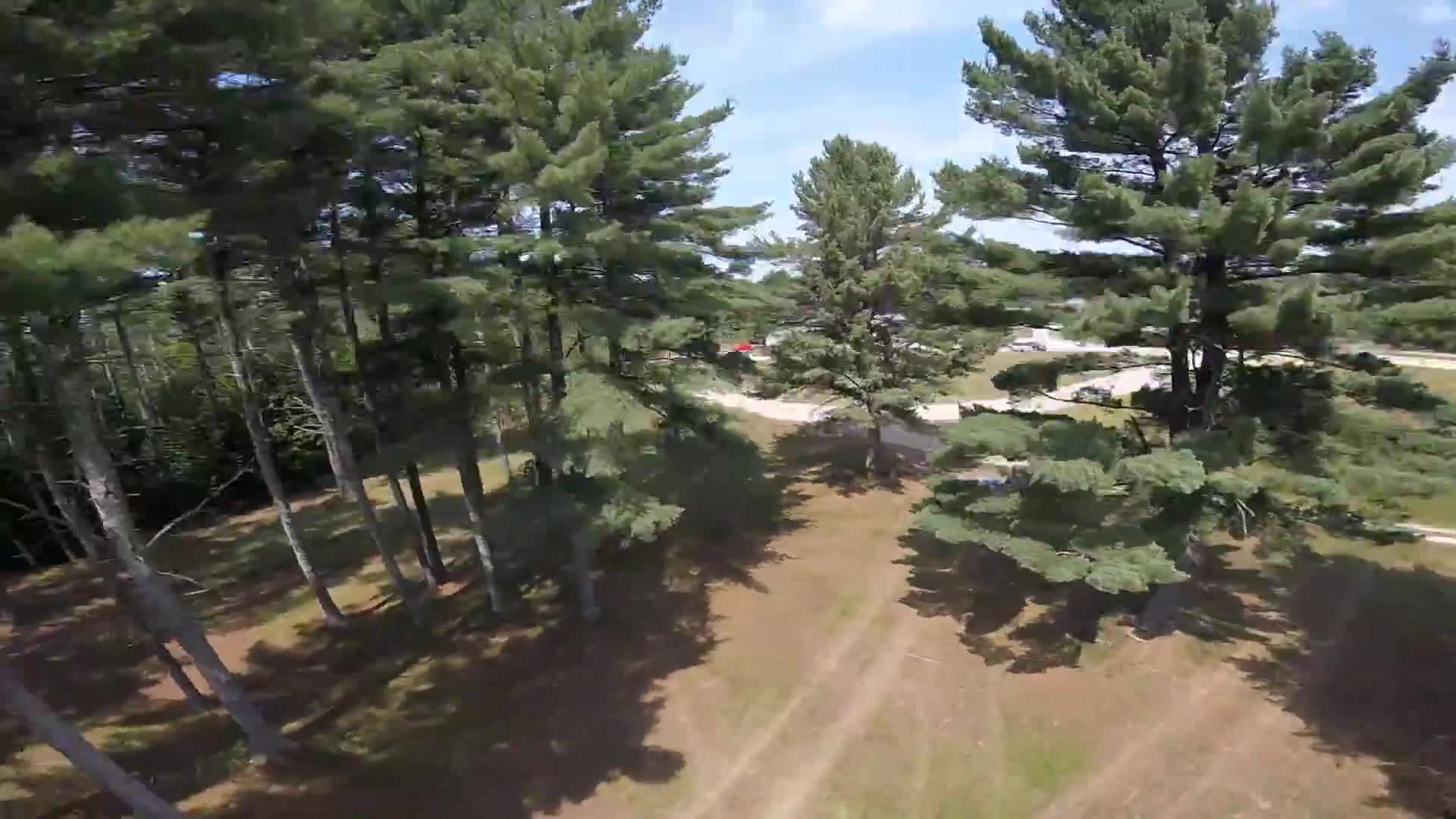 Finally power looped some pine trees | Scrolller