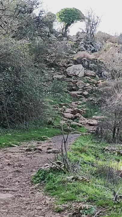 Naked walk in the mountains 4 | Scrolller