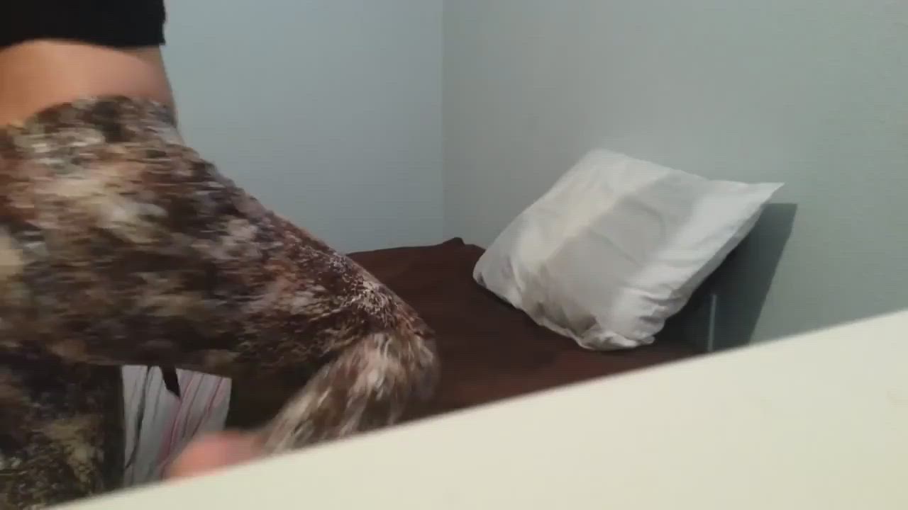 Latina Twerking And Grinding Scrolller