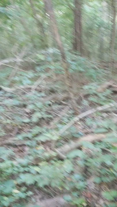 Right off the trail | Scrolller