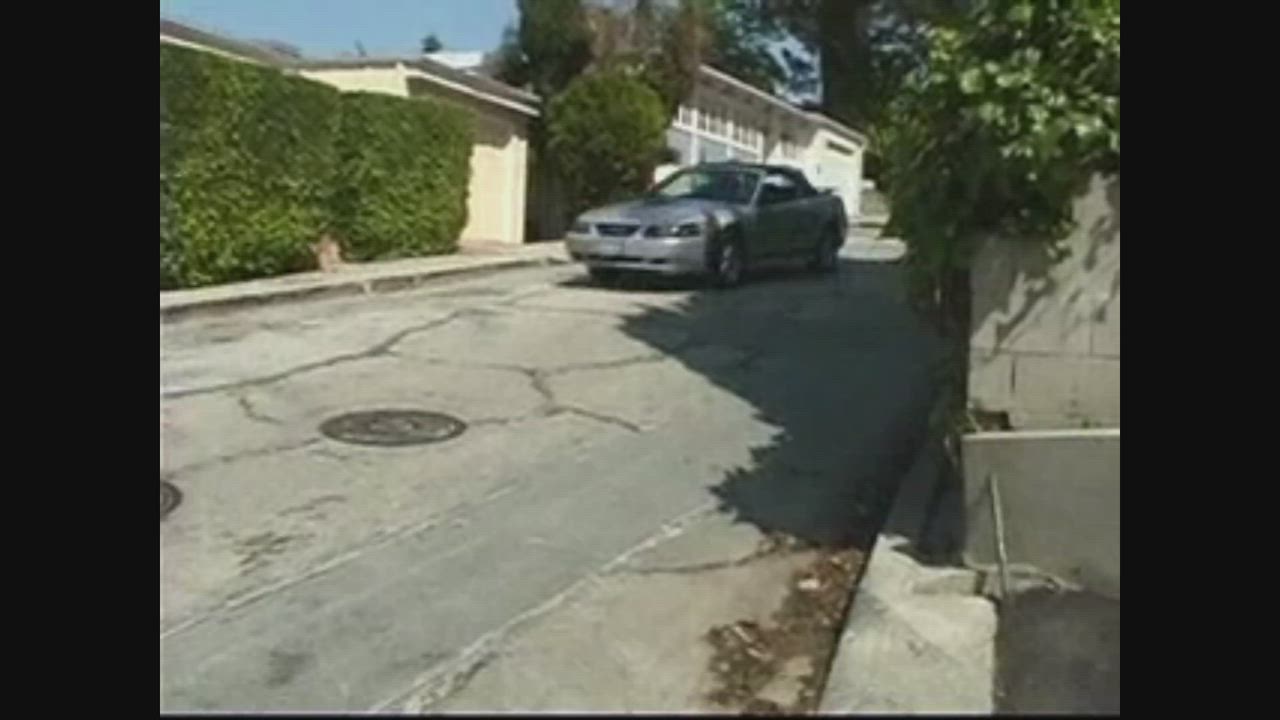 Scenes from AltBoobWorld : Returning from the store | Scrolller