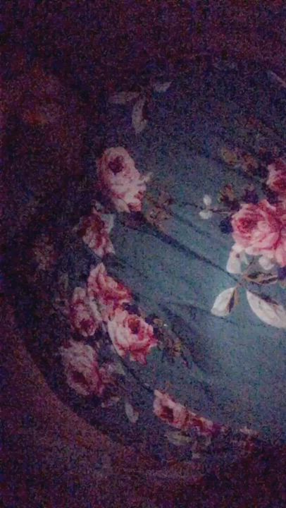 The best time of day is when I set them free🖤 | Scrolller