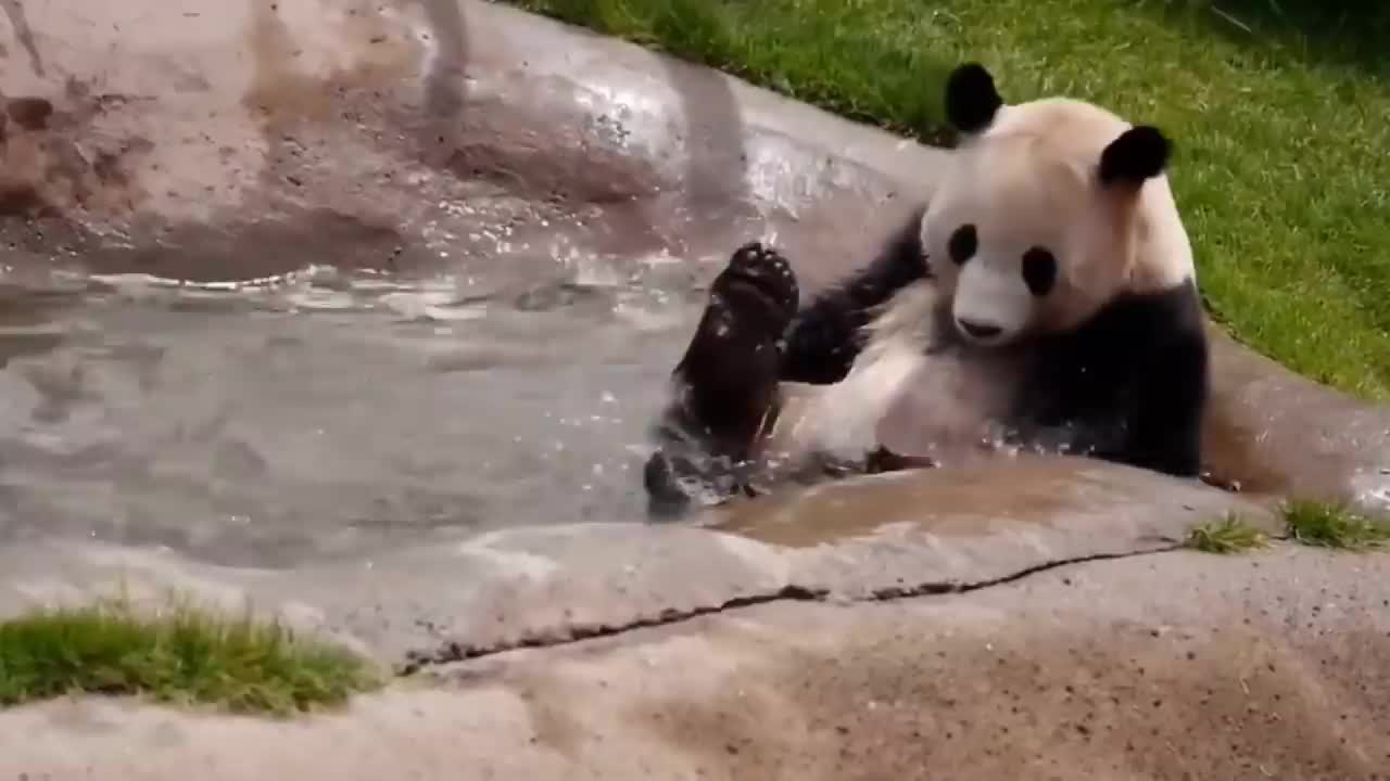 Making a splash | Scrolller