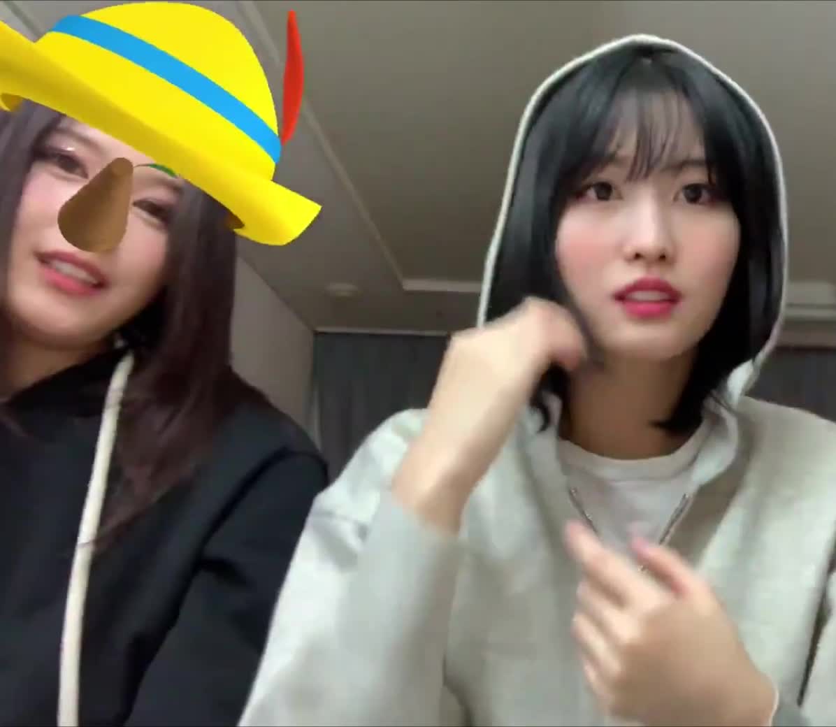 Sana with Momo | Scrolller