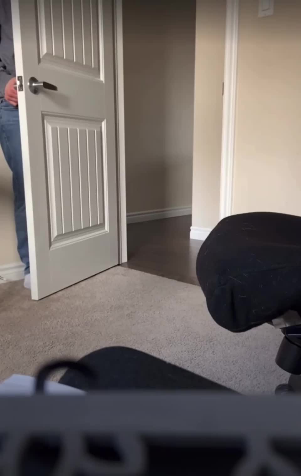 Playing Hide And Seek With A Boxer Scrolller 7519