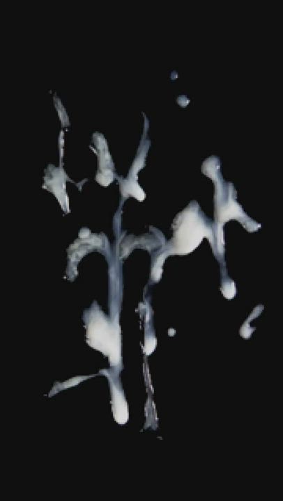 screen cleaning | Scrolller