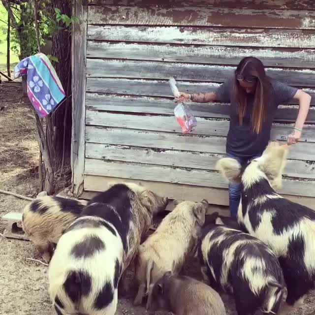 Feeding time | Scrolller