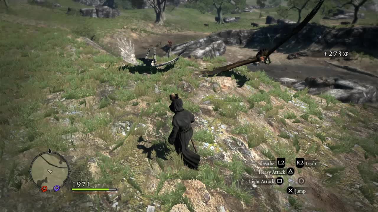 Flying Petrified Harpies (petrification gone wrong) | Scrolller