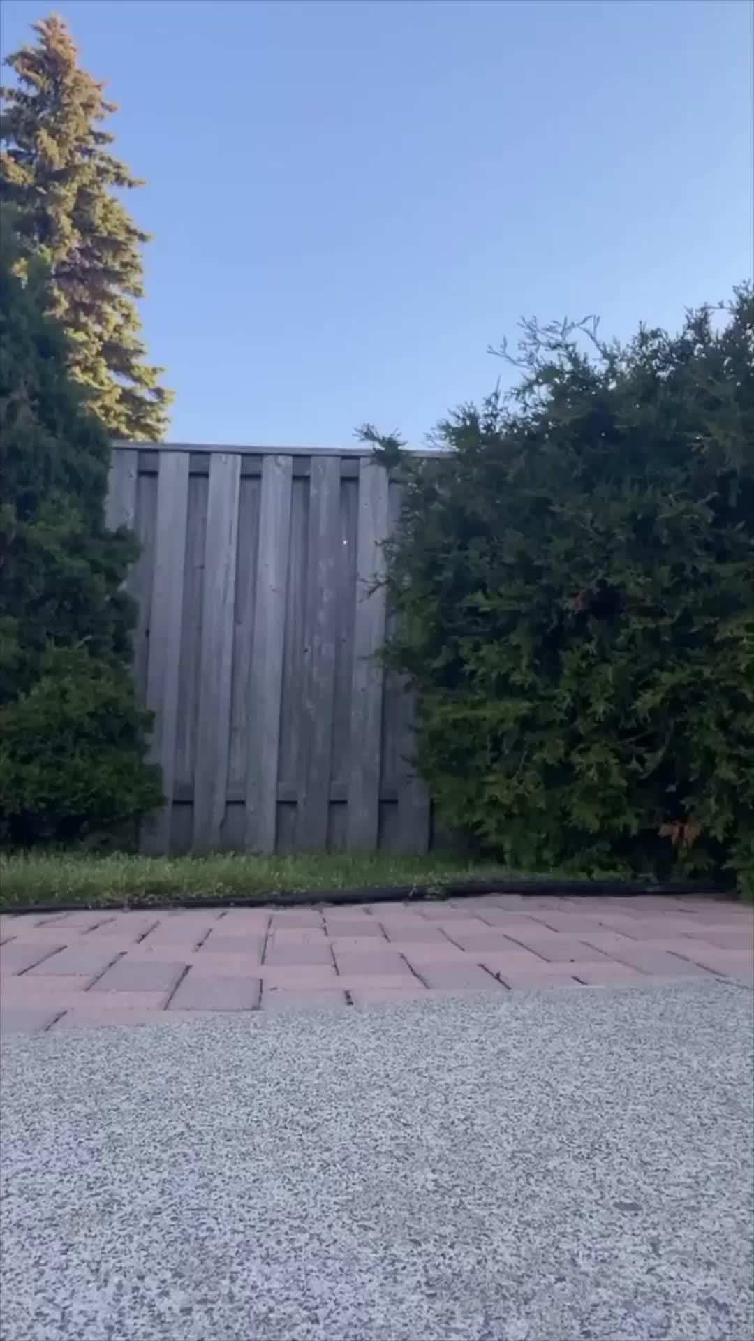 Kamilla Kowal (Bonnie McMurray from Letterkenny) | Scrolller