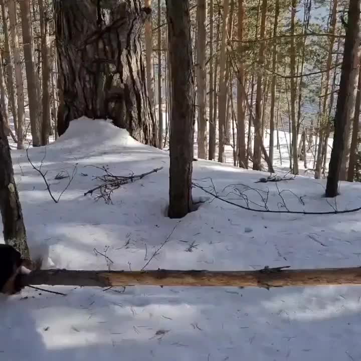 🔥 Process completed | Scrolller