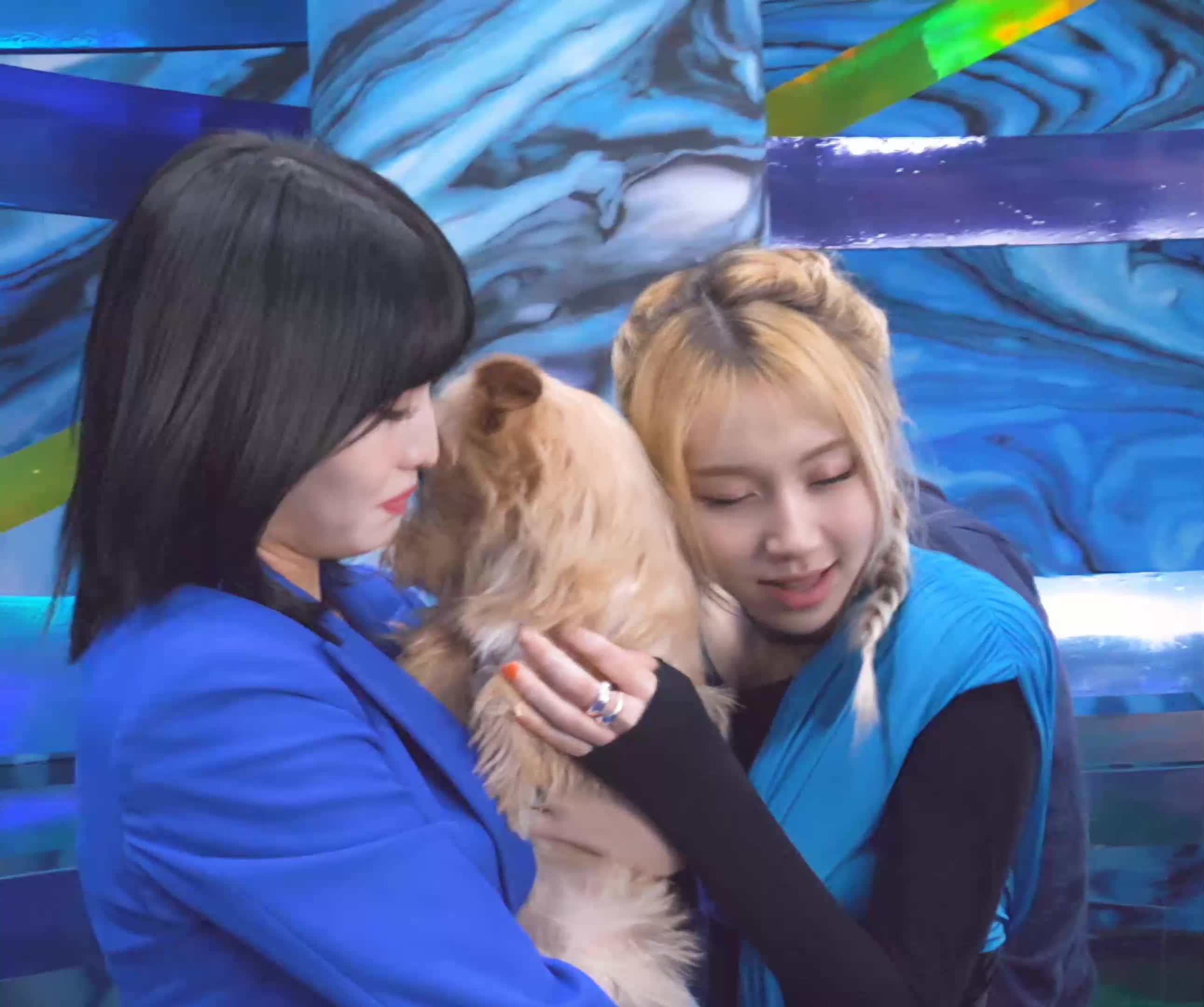 Chaeyoung, Momo & Dobby | Scrolller