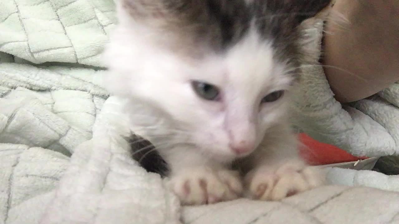 The littlest happy feetsies | Scrolller