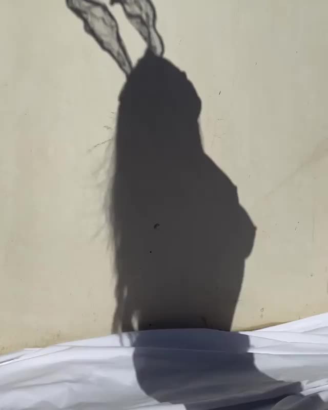 Sierra Skye Amazing Nude Shadow | Scrolller