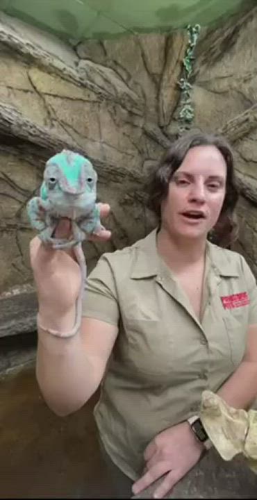 Surely didn't expected that reveal | Scrolller