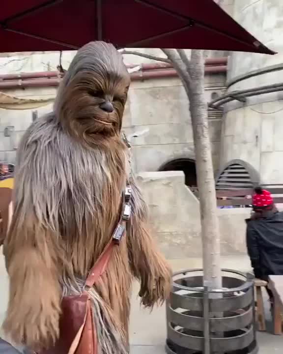 Baby meets Chewbacca | Scrolller