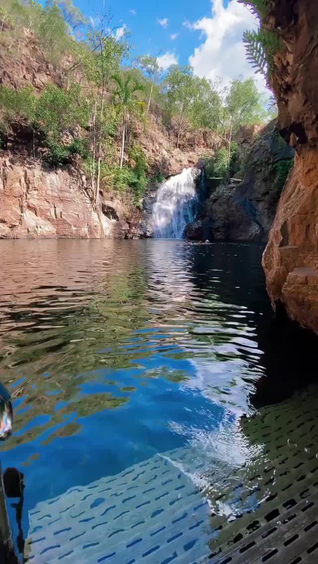 Diving in | Scrolller