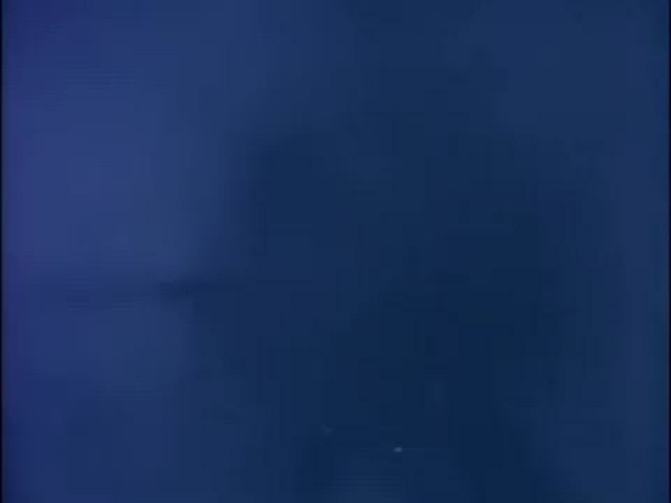 Eloise Broady DeJoria - Miss April 1988 Playboy Playmate of the month. | Scrolller