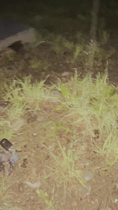 Wifey pooped outside on our new property 😊 | Scrolller