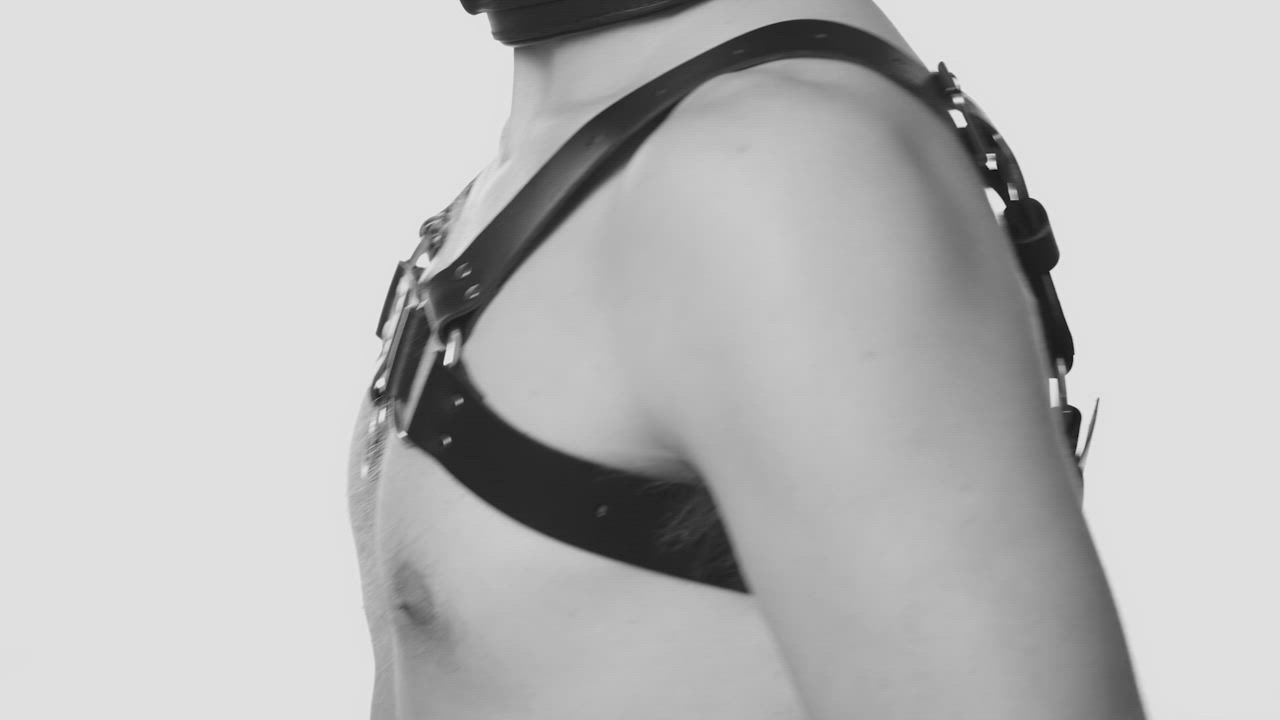 Just being a good boy! | Scrolller