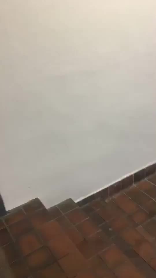 OMG ... Gays legt los!! | Scrolller