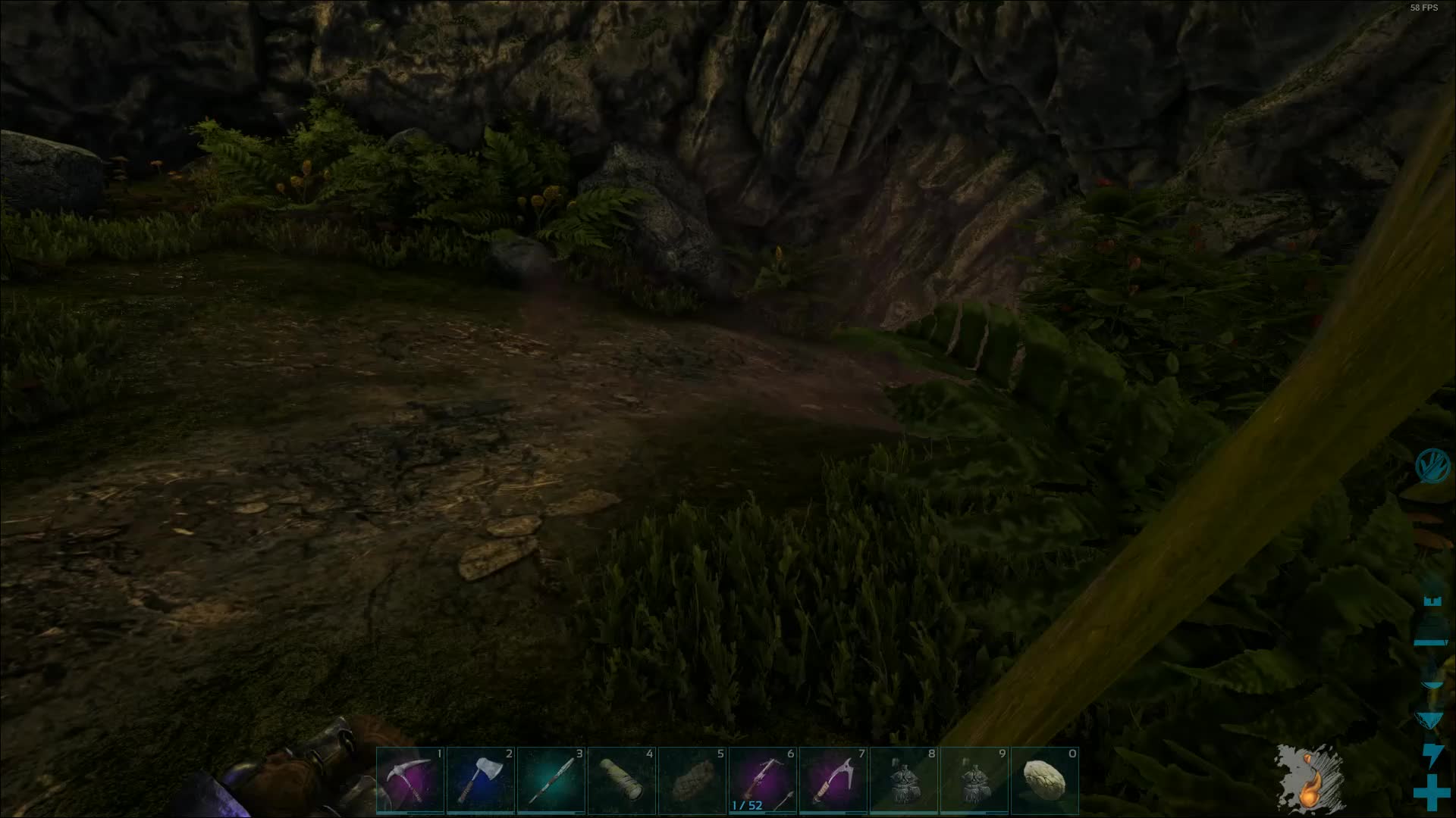 The ARK experience | Scrolller