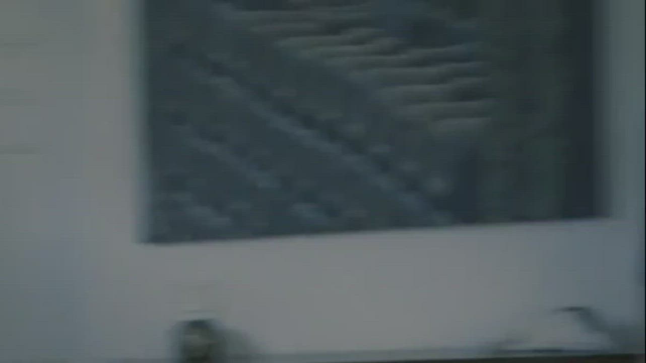 Don't worry, it's not for real | Scrolller