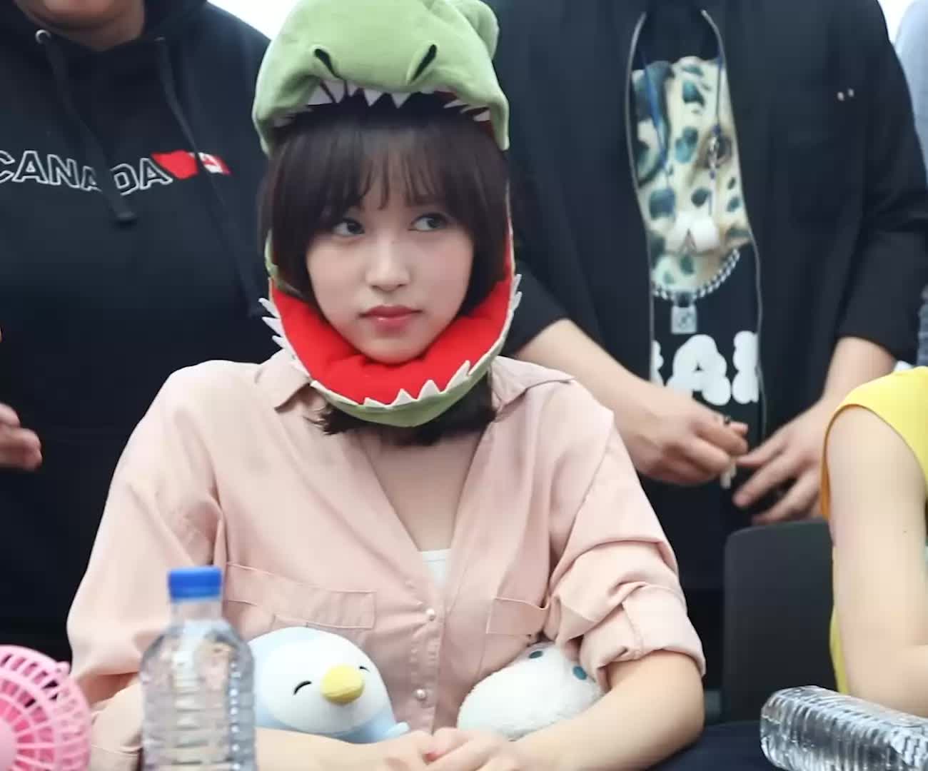 Mina cute dinosaur | Scrolller