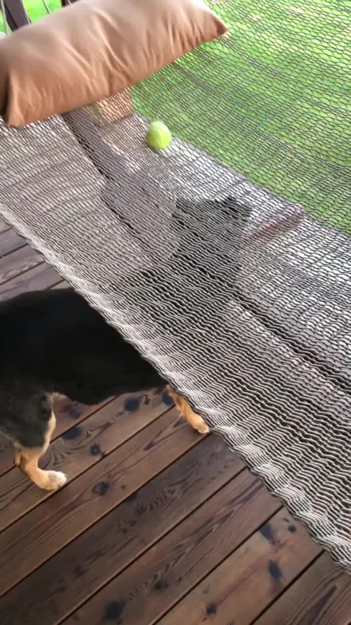 What is this mysterious forcefield?? | Scrolller