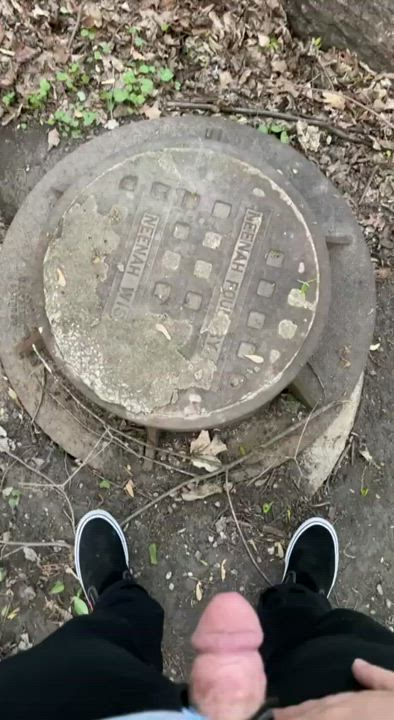 Have really been enjoying pissing ON things lately | Scrolller