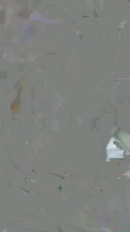 Discover more like AlphaMalePorn: Breeding then feeding (wait til the end) and Related Content ...