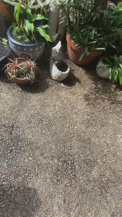 Backyard cum! | Scrolller