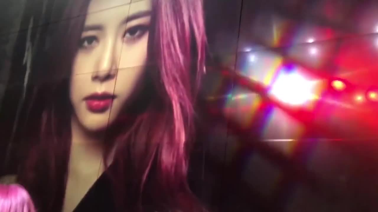 Jumping Dongie | Scrolller