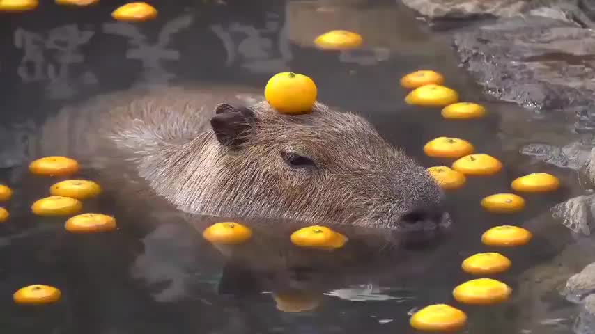 Perfect posture | Scrolller