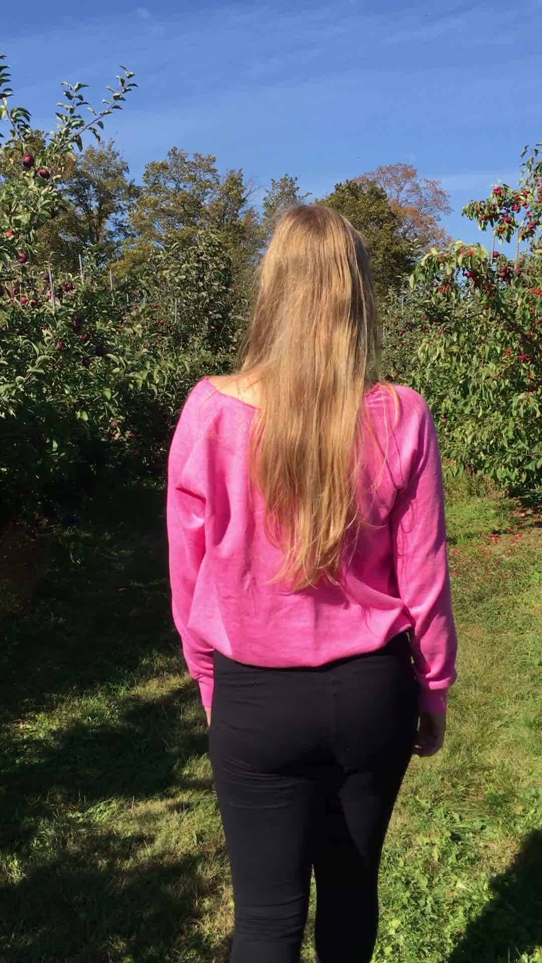 Bend And Spread During Apple Picking Oc Enjoy Scrolller