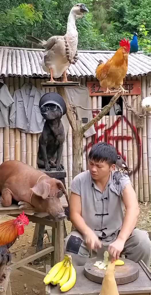 Feeding time | Scrolller