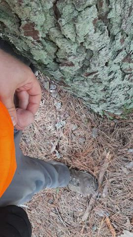 M28. Quick peeing in the forest. | Scrolller