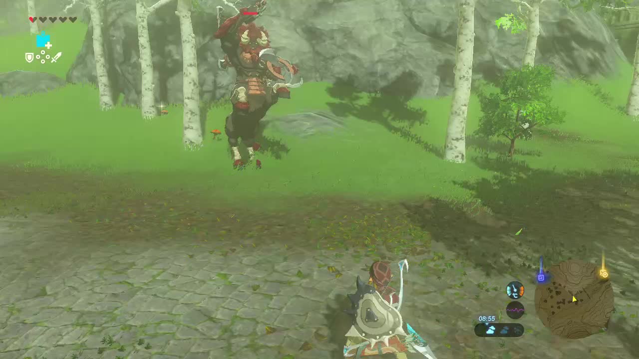 [Zelda BOTW] *boing boing* | Scrolller