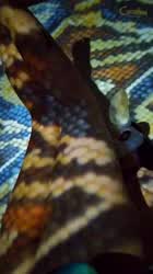 kiss me everywhere, taste me, devour me 🍽️ | Scrolller