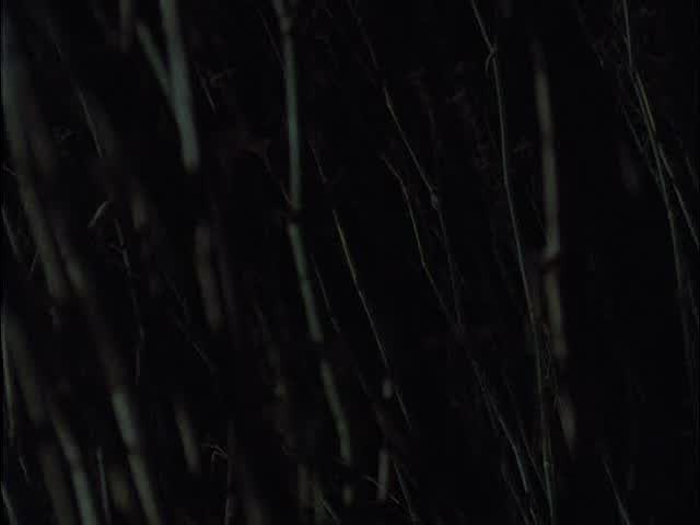 Brooke Adams - Invasion of the Body Snatchers (1978) | Scrolller