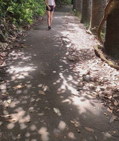 Jungle flash | Scrolller