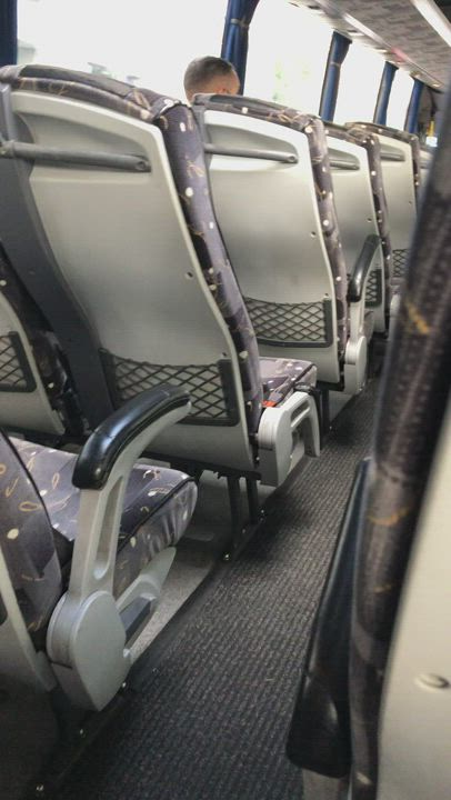 Y’all liked my video yesterday so here’s another of us on the bus | Scrolller