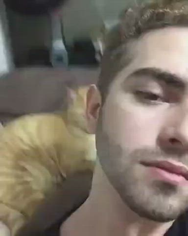 cats go crazy | Scrolller