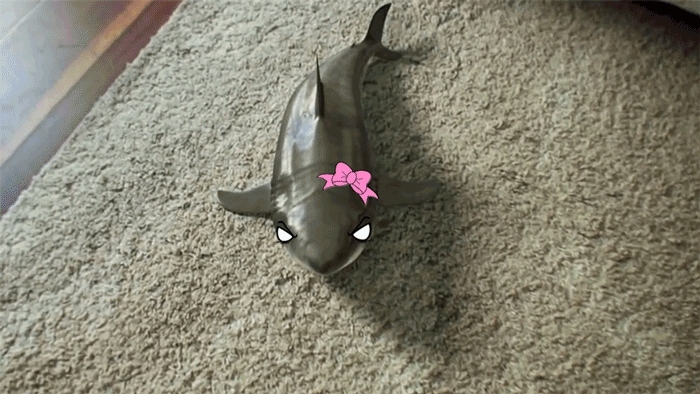 Shark-chan performs for senpai | Scrolller