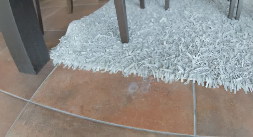 Alexis Brill from All Internal | Scrolller