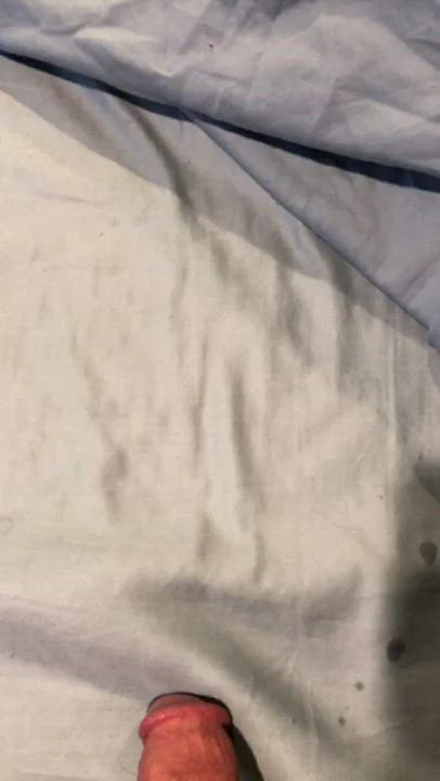 Humping My Bed For My Mistress She Made Me Lick Up The Mess I Made Scrolller