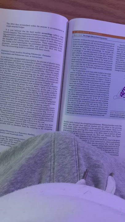 Got a lil distracted | Scrolller