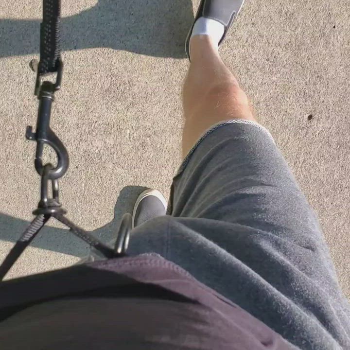 Doggo taking me for a fast stroll | Scrolller