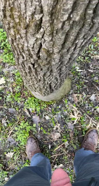 I missed using a tree | Scrolller