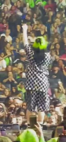 Fan Flashing at Billie Eilish Concert on Tikotk | Scrolller